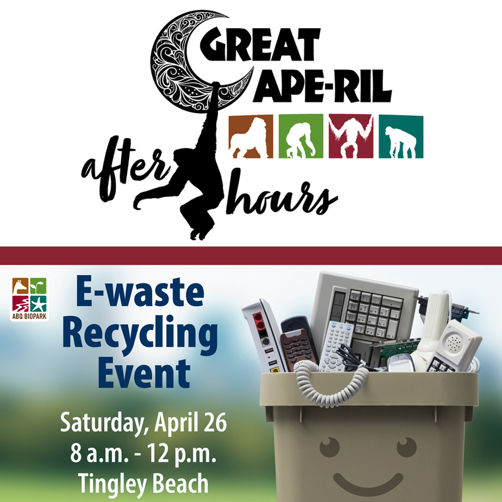 ABQ BioPark celebrates Earth Day 2025 with new Great Ape-ril: After ...