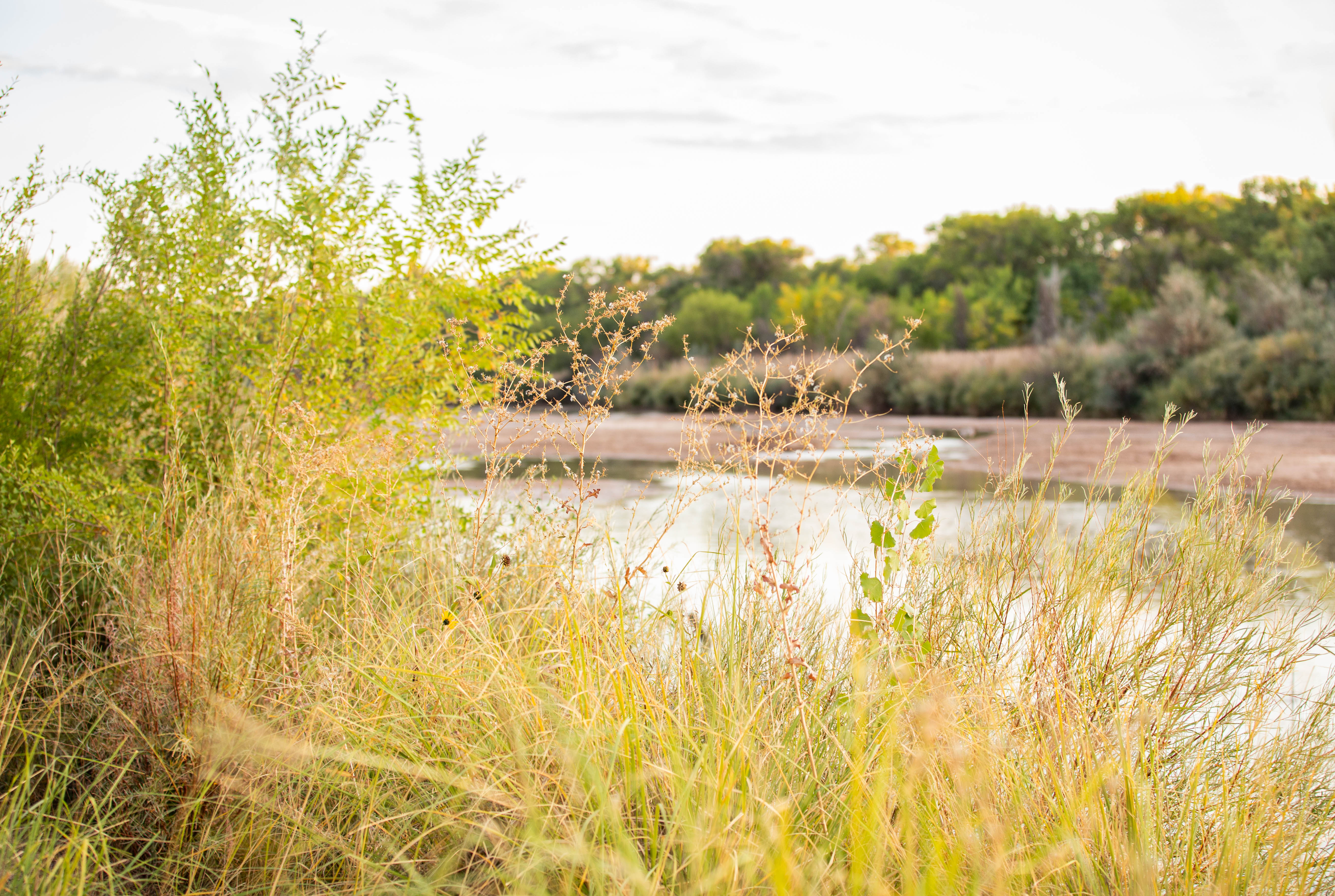 Dia del Rio events enable you to help nurture and protect the Rio ...