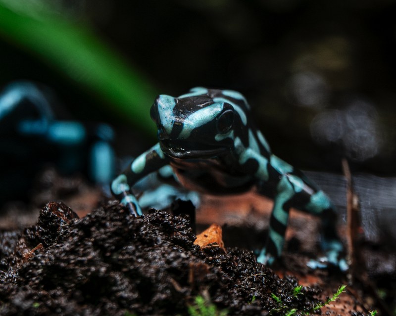 Job Opportunity at the ABQ BioPark: Associate Project Coordinator ...