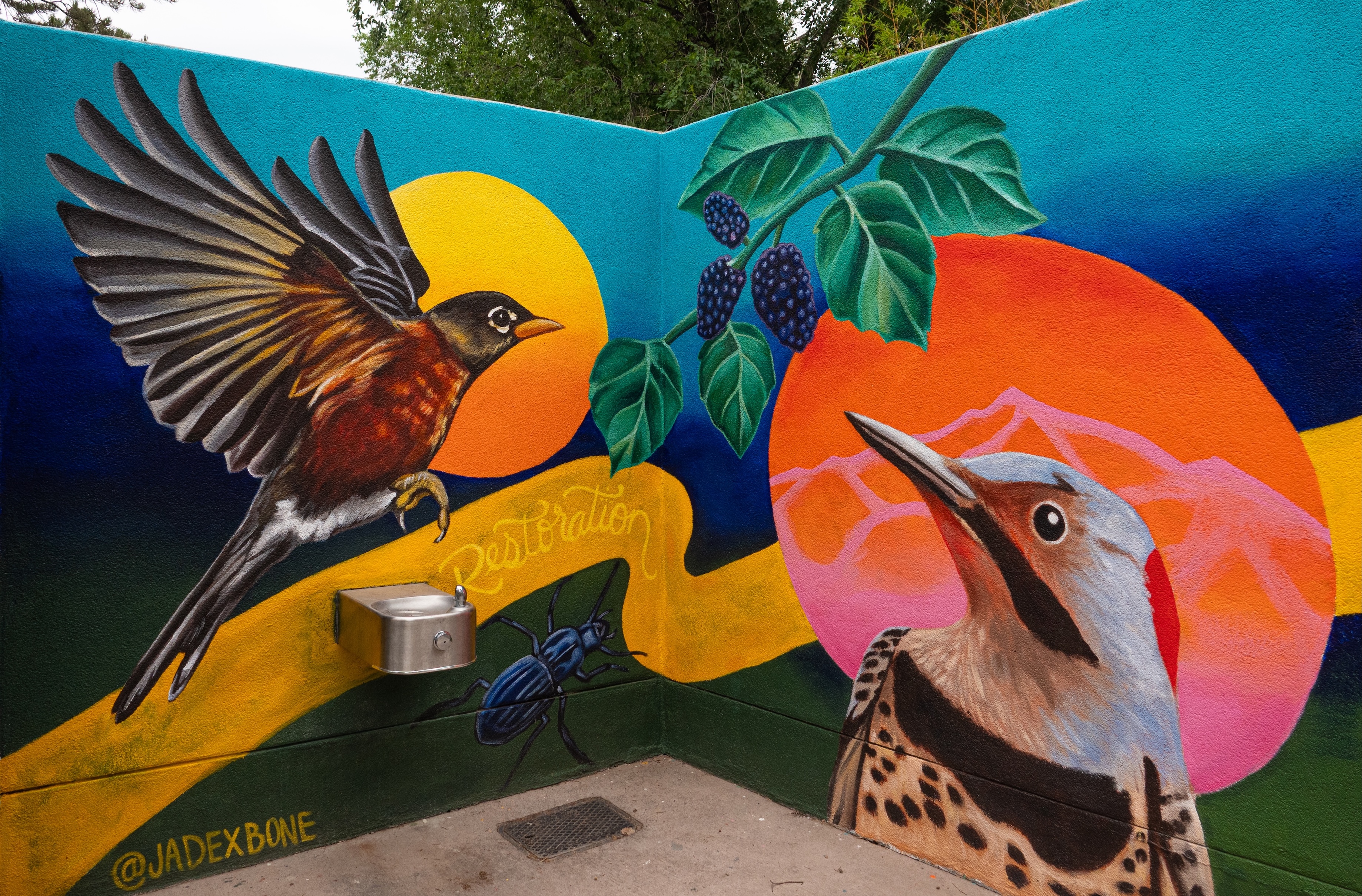 New Avian Murals Unite Art and Advocacy at ABQ BioPark Zoo — City of ...