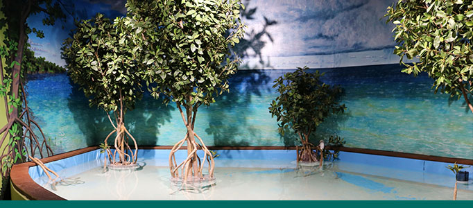 Touch Pools — City of Albuquerque