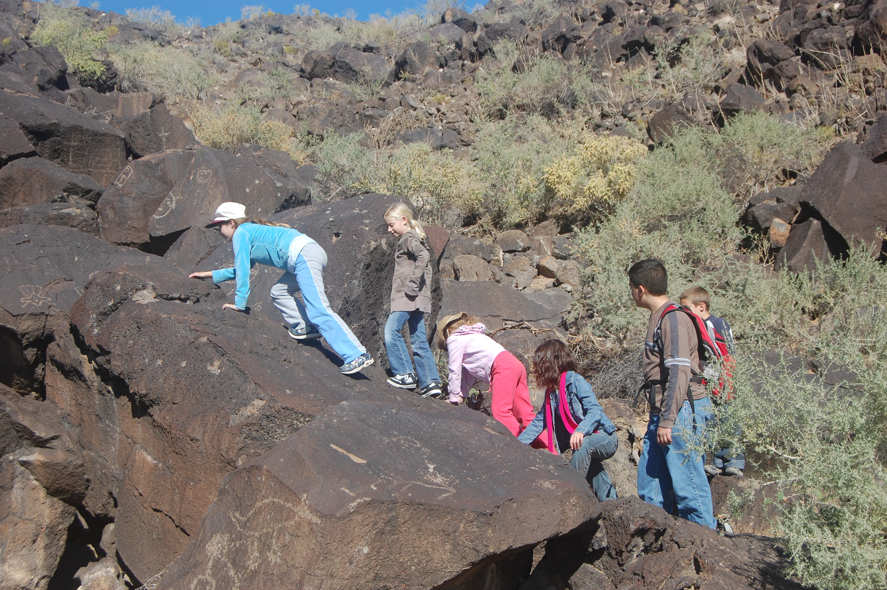 Albuquerque Parks and Recreation Announces New Open Space Explorer Camp ...