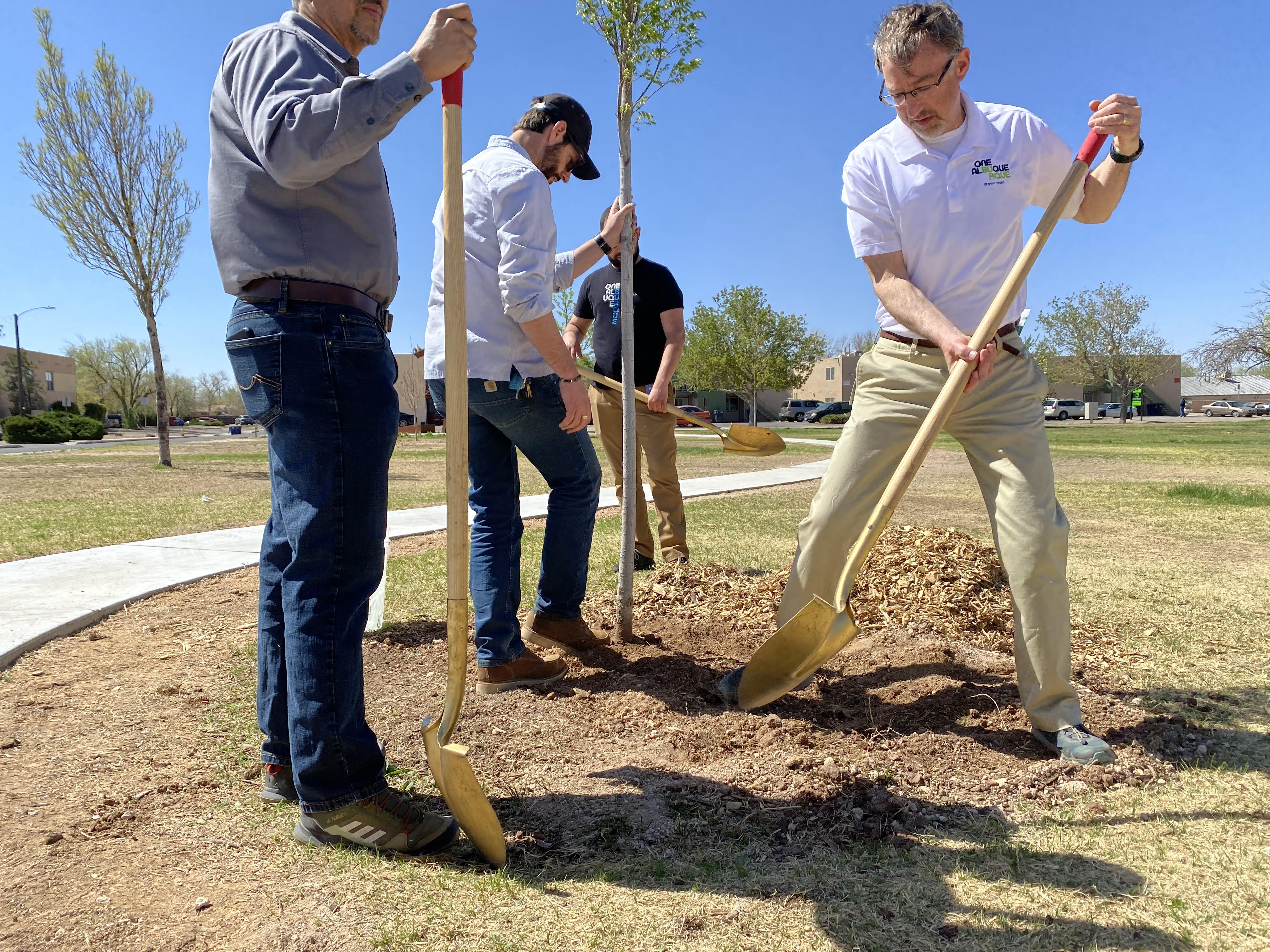 Tree Planting Efforts In Full Bloom — City of Albuquerque