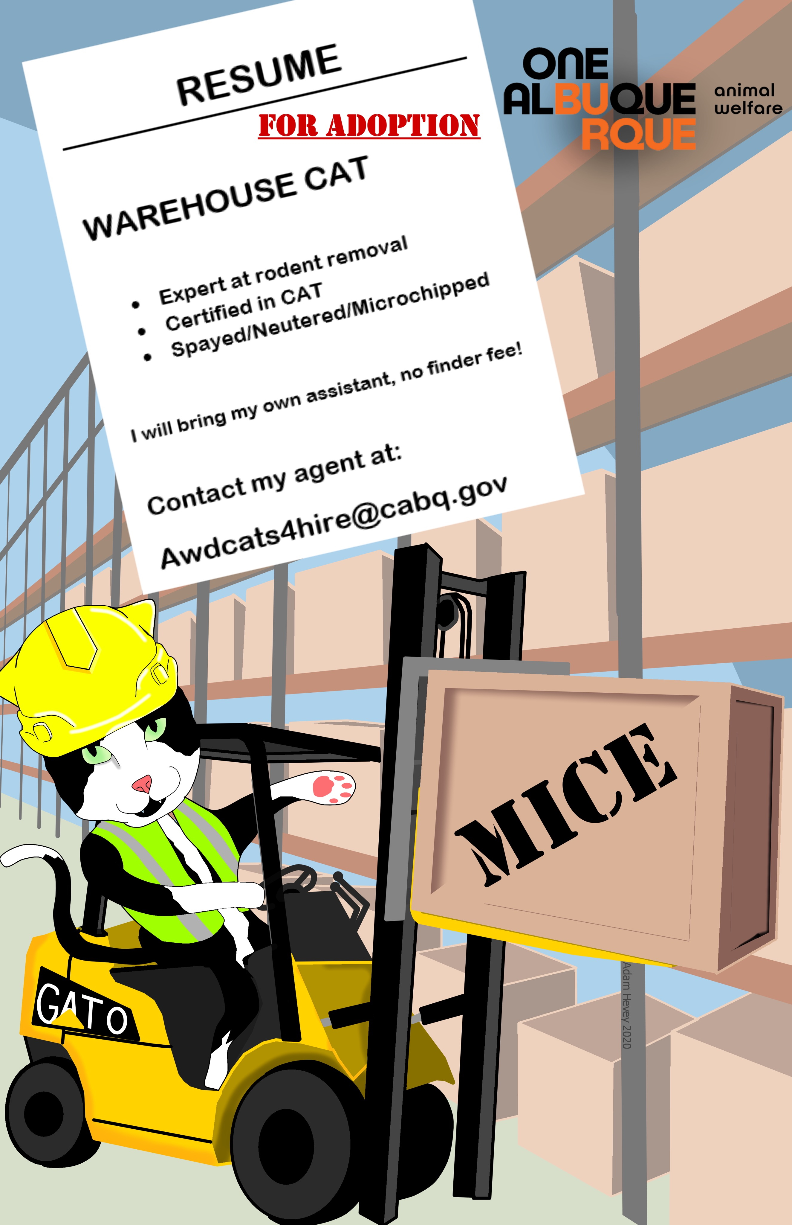 Adopt a Working Cat at Animal Welfare Department — City of Albuquerque