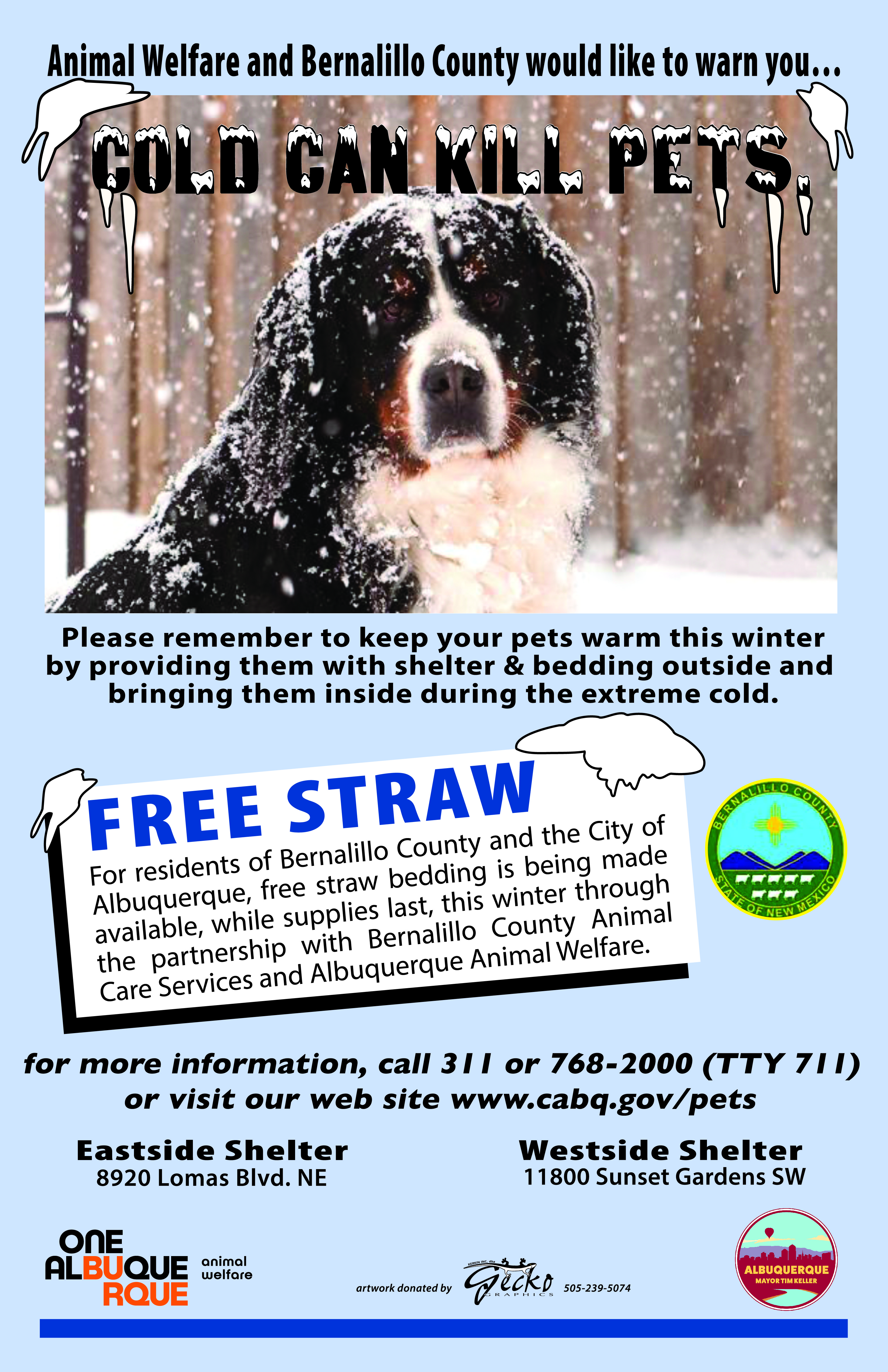 Helpful Tips to Keep Pets Warm This Winter — City of Albuquerque