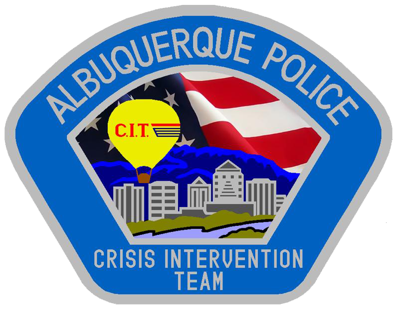 Crisis Intervention Unit Prevents Individual from Purchasing Firearm ...