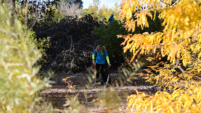 Junk Jog Section Highlight — City of Albuquerque